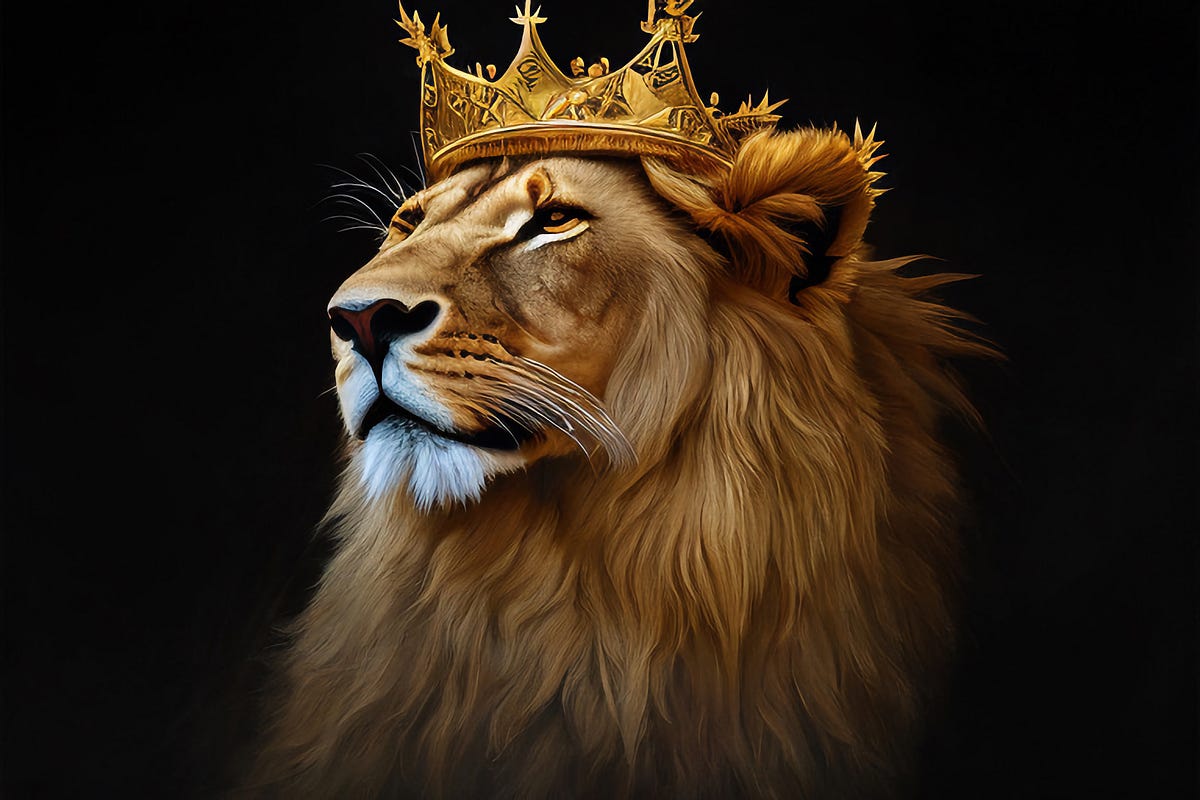 The Power of Eating Like a Jungle King: The Lion Diet | by Valeria E ...
