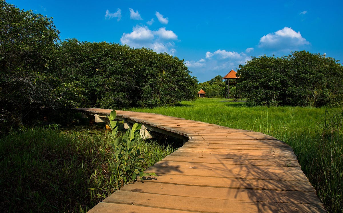 Premier Parks in Colombo. With some of the parks featuring a… | by ...
