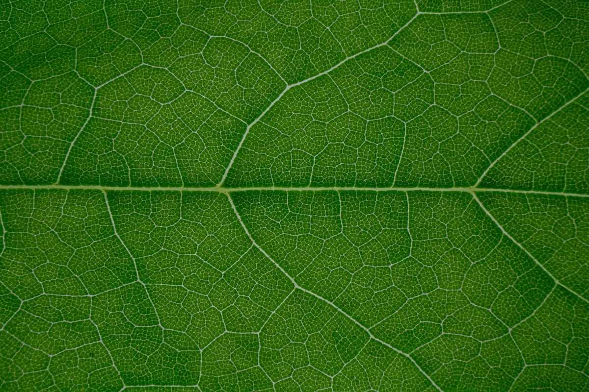 3 Steps for Growing Design Leaders Into Senior Roles That Set Them Up ...
