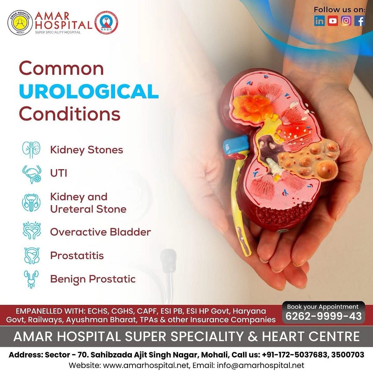 Common Urological Conditions - Amar Hospital Mohali - Medium