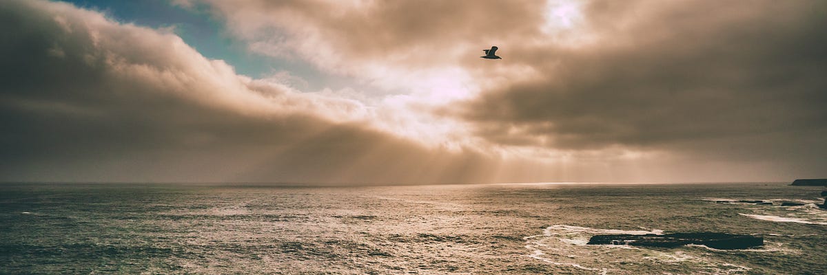 A Tale of Taking The Flight Above Judgement | by Jenna Galbut | Medium