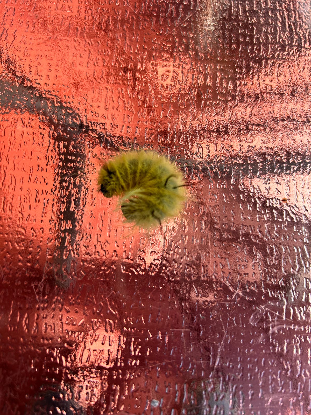 I’m Getting Ready For Winter,. But I’m not the only one | by Stephen ...