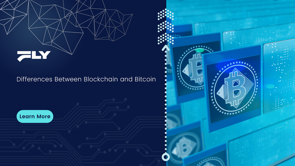 Differences Between Blockchain and Bitcoin - FLY Labs Official - Medium