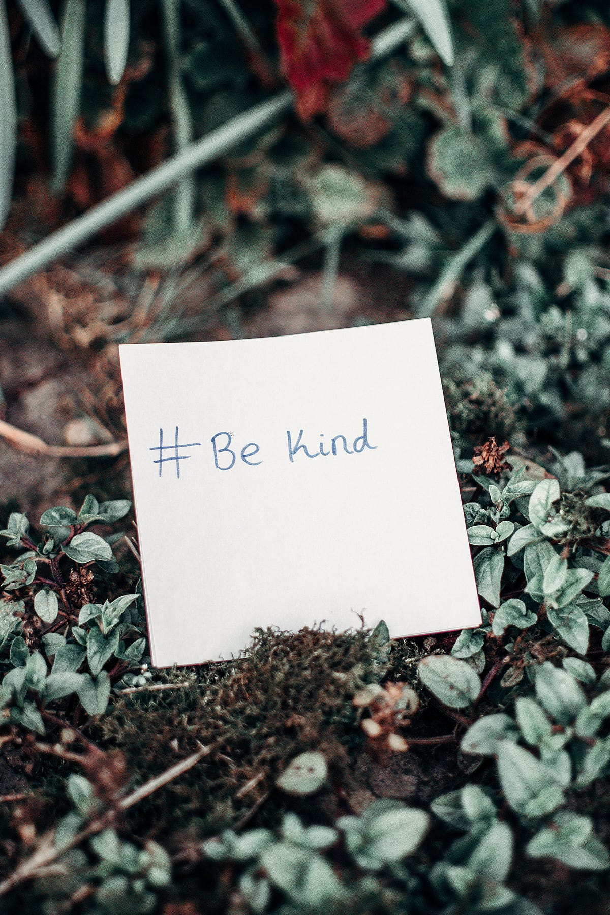 How Kindness is Beneficial For Our Health | by Bellalouden | Oct, 2023 ...