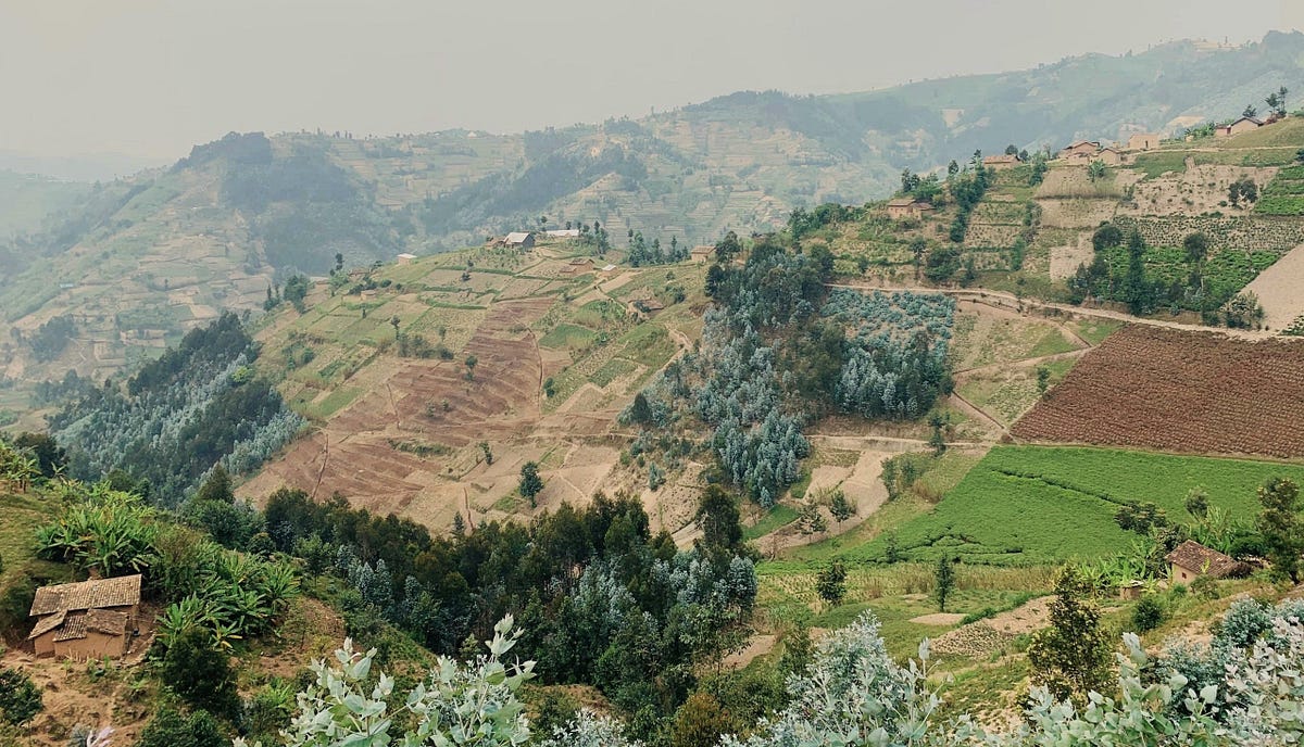 Enumerating landscape change in Rwanda | People • Nature • Landscapes