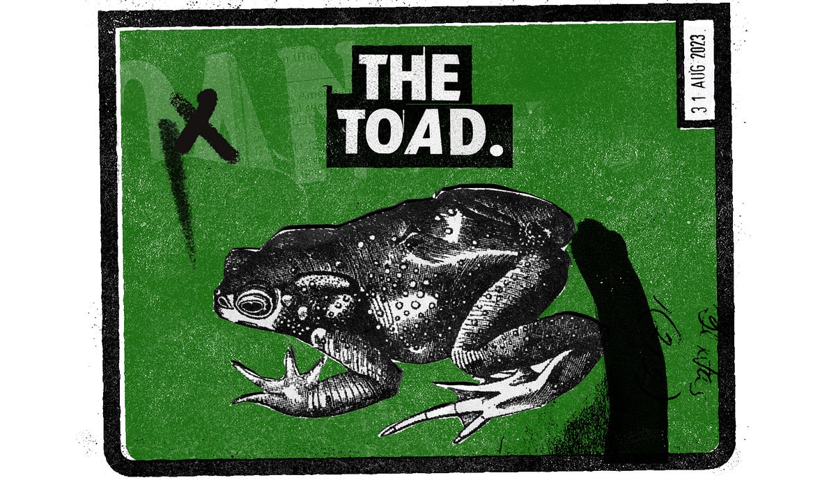 002: The toad. | by tom cornfoot | Stories from Nowhere | Aug, 2023 ...
