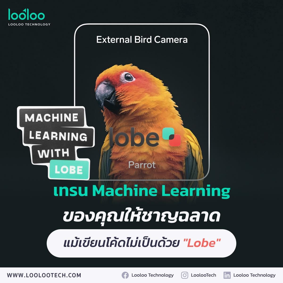 เทรน Machine Learning ของคุณให้ ชาญฉลาดแม้เขียนโค้ดไม่เป็นด้วย “Lobe”💻🕊 ...