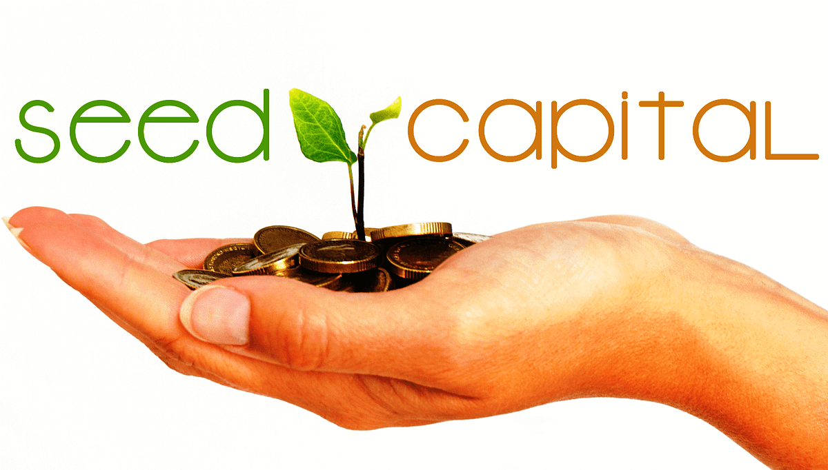 WHAT IS SEED CAPITAL: BENEFITS FOR BUSINESS: HOW TO RAISE IT | by ALCOR ...