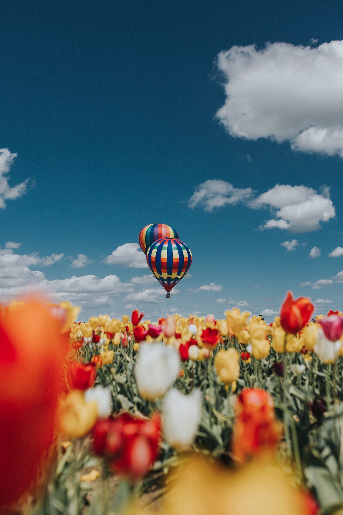 How to Spring Forward in Spite of the Time Change | by Nicole Akers ...