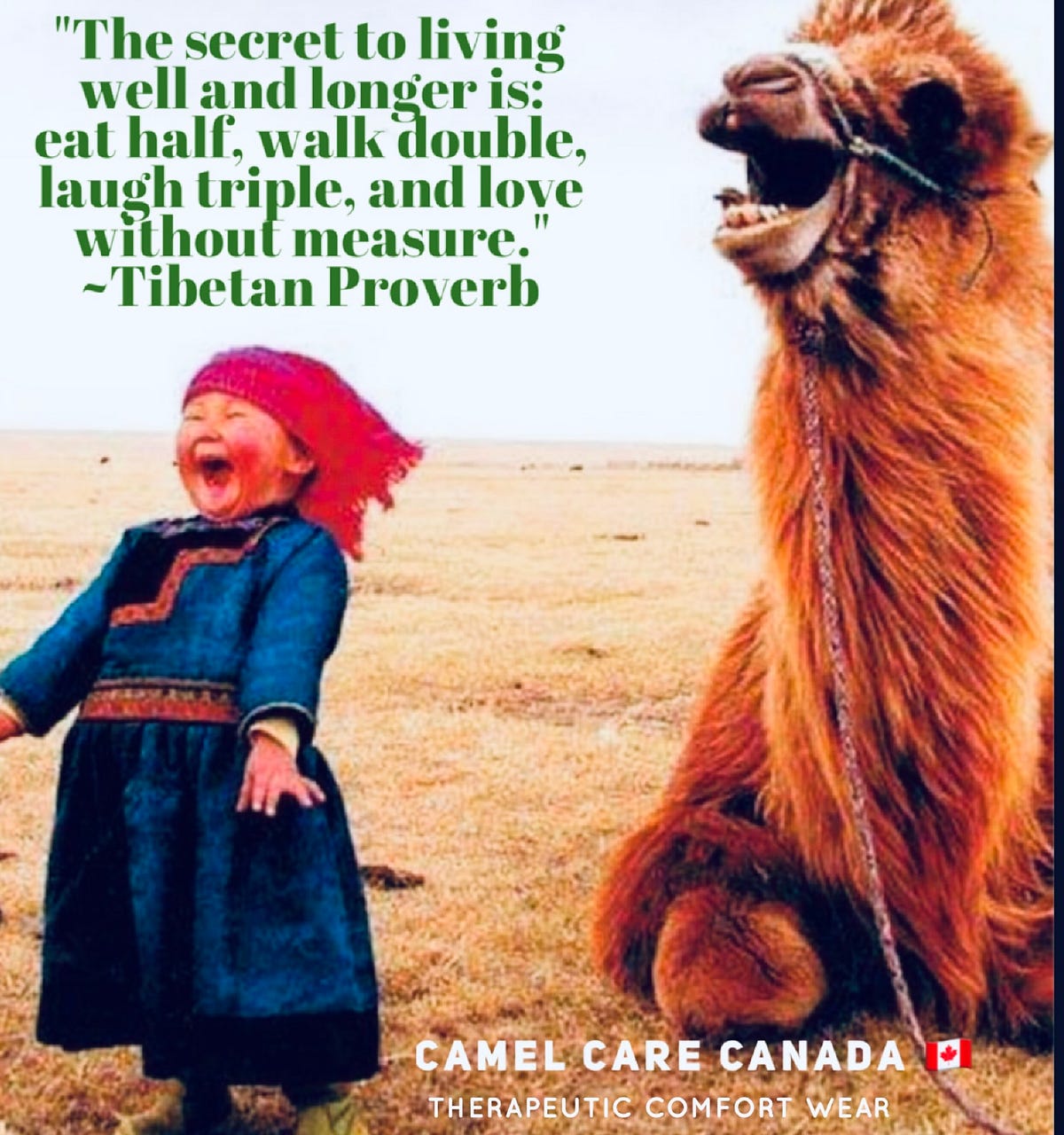 Greetings from Camel Care Canada We are proud to introduce our best ...
