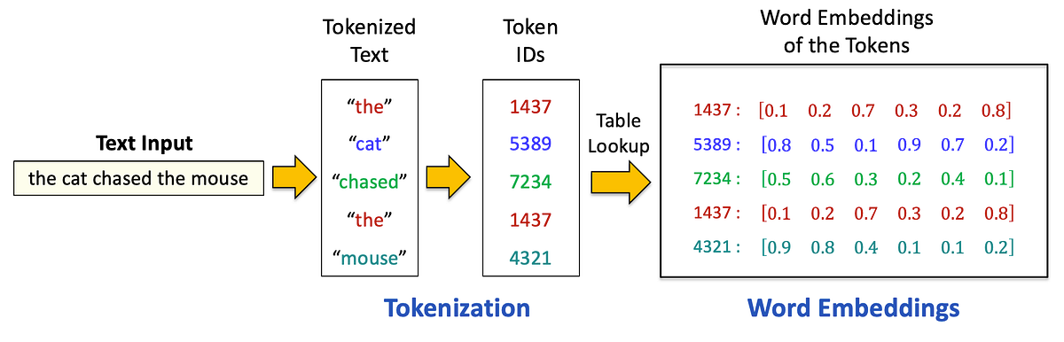 Tokenization and Word Embeddings: The Building Blocks of Advanced NLP | by LM Po | Medium