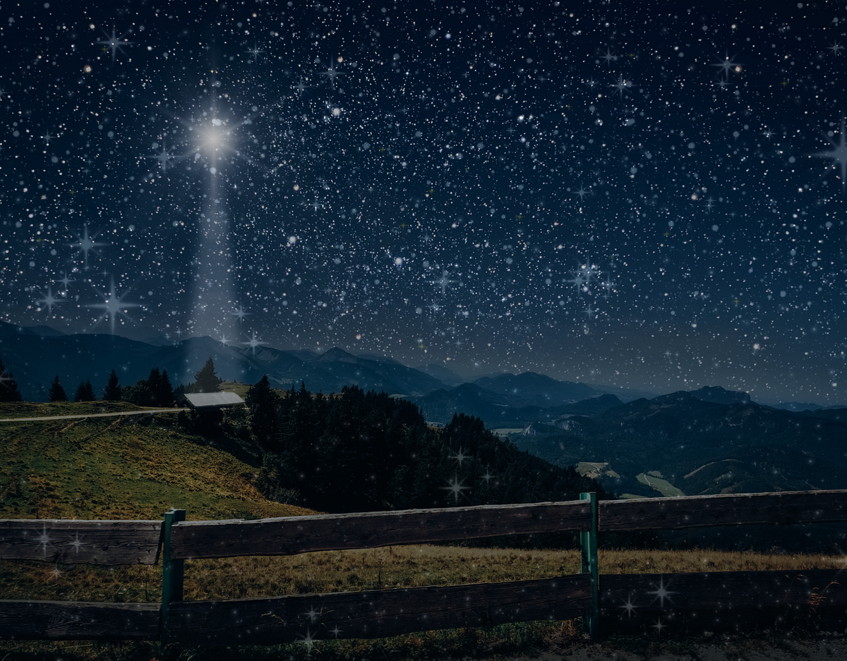A Star Still Shines Above a Silent Night | by Nancy Blackman, MASF ...