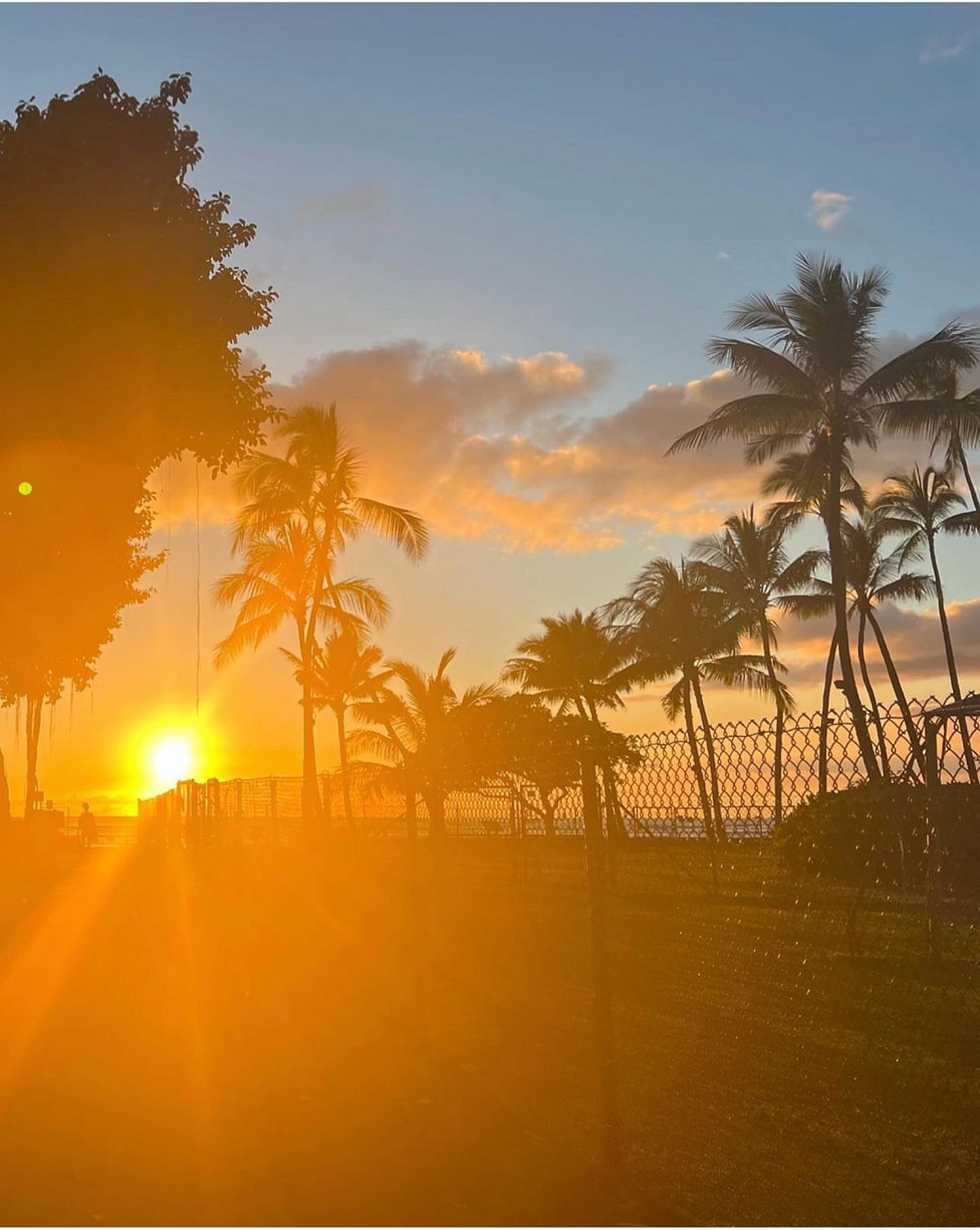 Extend Mercy. | by Patience Gbenro | Feb, 2025 | Medium