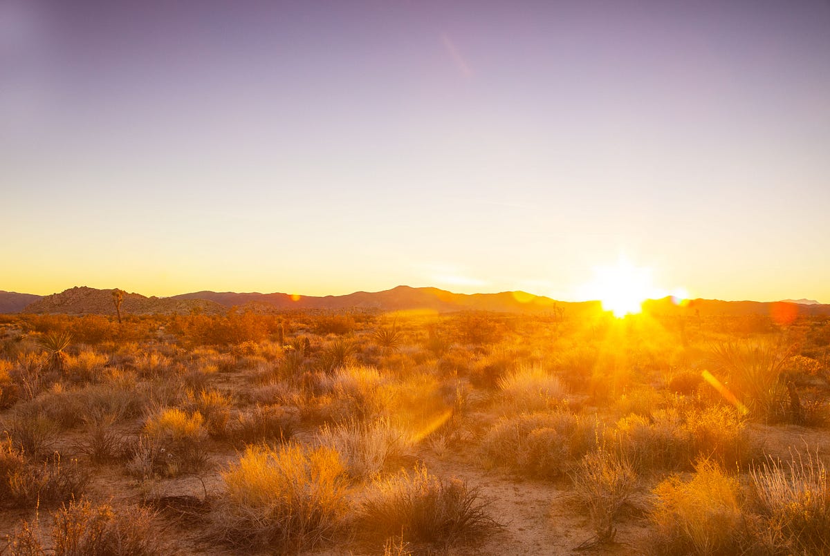 Tonglen meditation: How to do it and its benefits | Medium