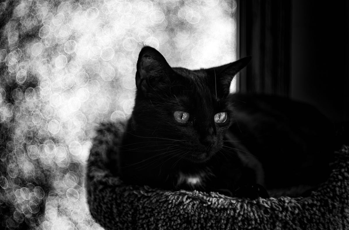 I Keep Fighting With This Lens. Struggles with Glass: My Battle with ...