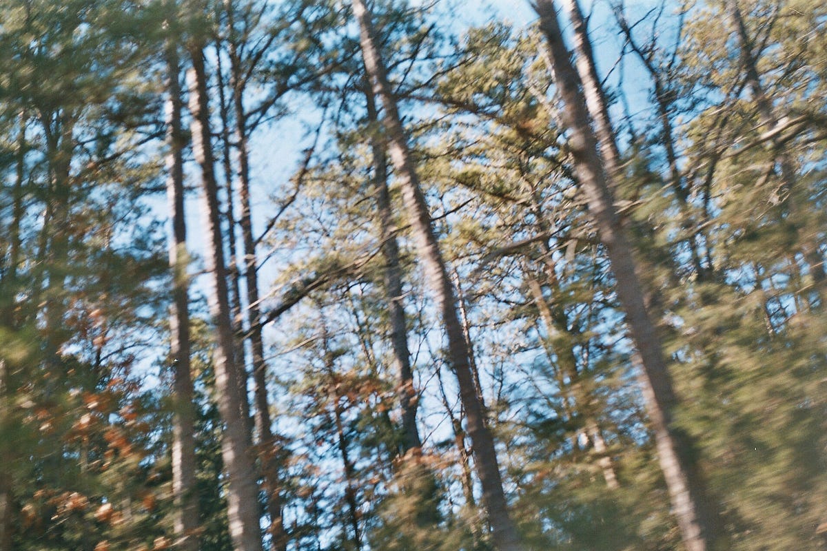 Created Cabin. The crisp cold air slightly burns as… | by Tom Muncie ...