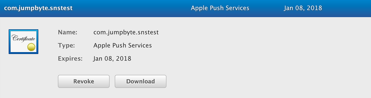 Integrate SNS Push Notifications with Cordova iOS App | by Dhaval Nagar | Medium