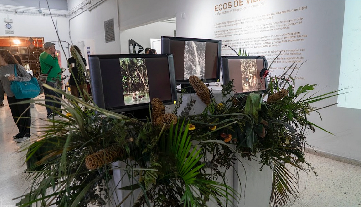 Are NFTs the future of climate art? | by Alexa Donovan | The Beat ...