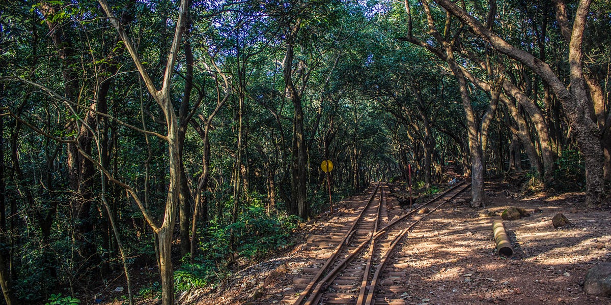 A stroll through Matheran. Nature Trails | by Aishwarya Dwivedi | Medium