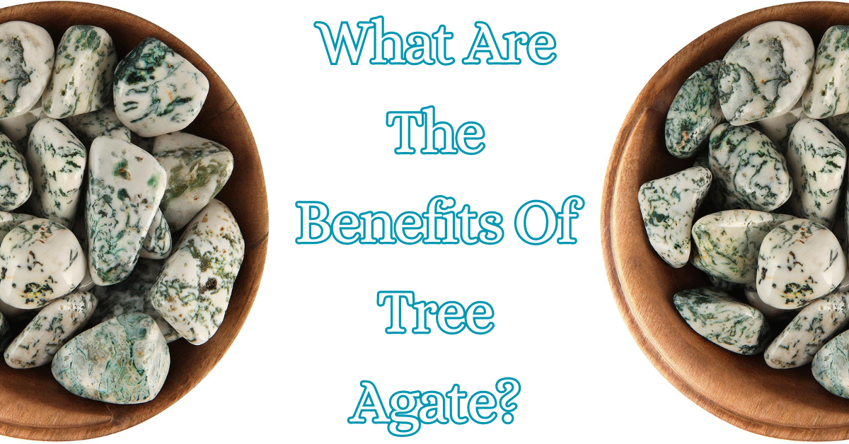 What Are The Benefits Of Tree Agate? | by bispendra jewels | Medium