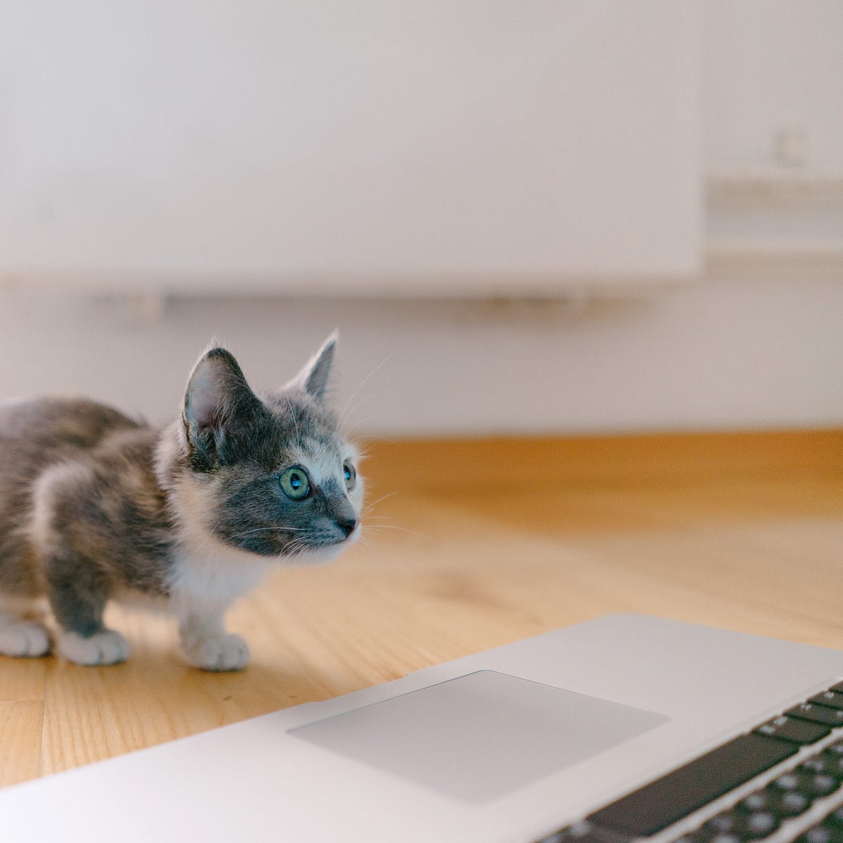 How Many Emails Do You Really Need? | by Carl Umali | Medium