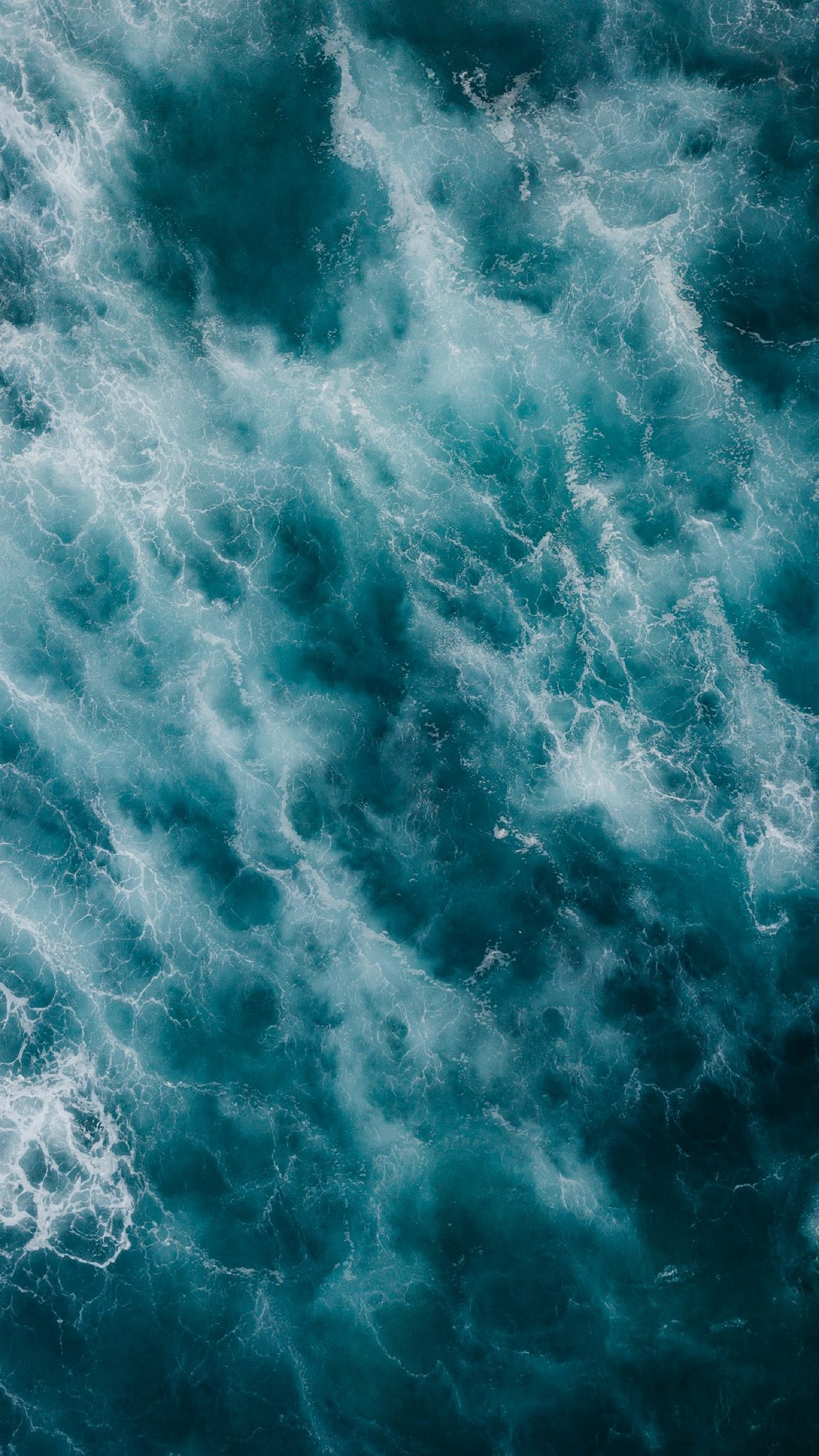 Lapping - Henry Roos - Medium