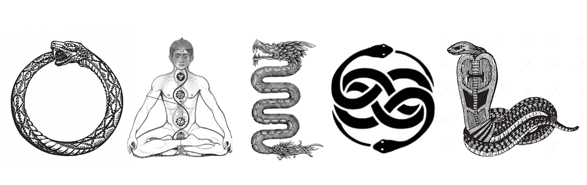 The Transformational Power of Snake Energy in 2025 | by Jeanette ...