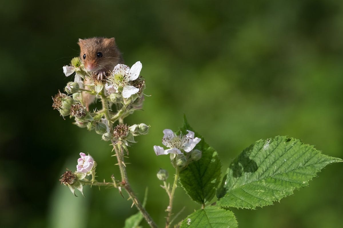 Coping with curve balls.. Photo by Phil Robson on Unsplash | by Roisin Welsh | Medium