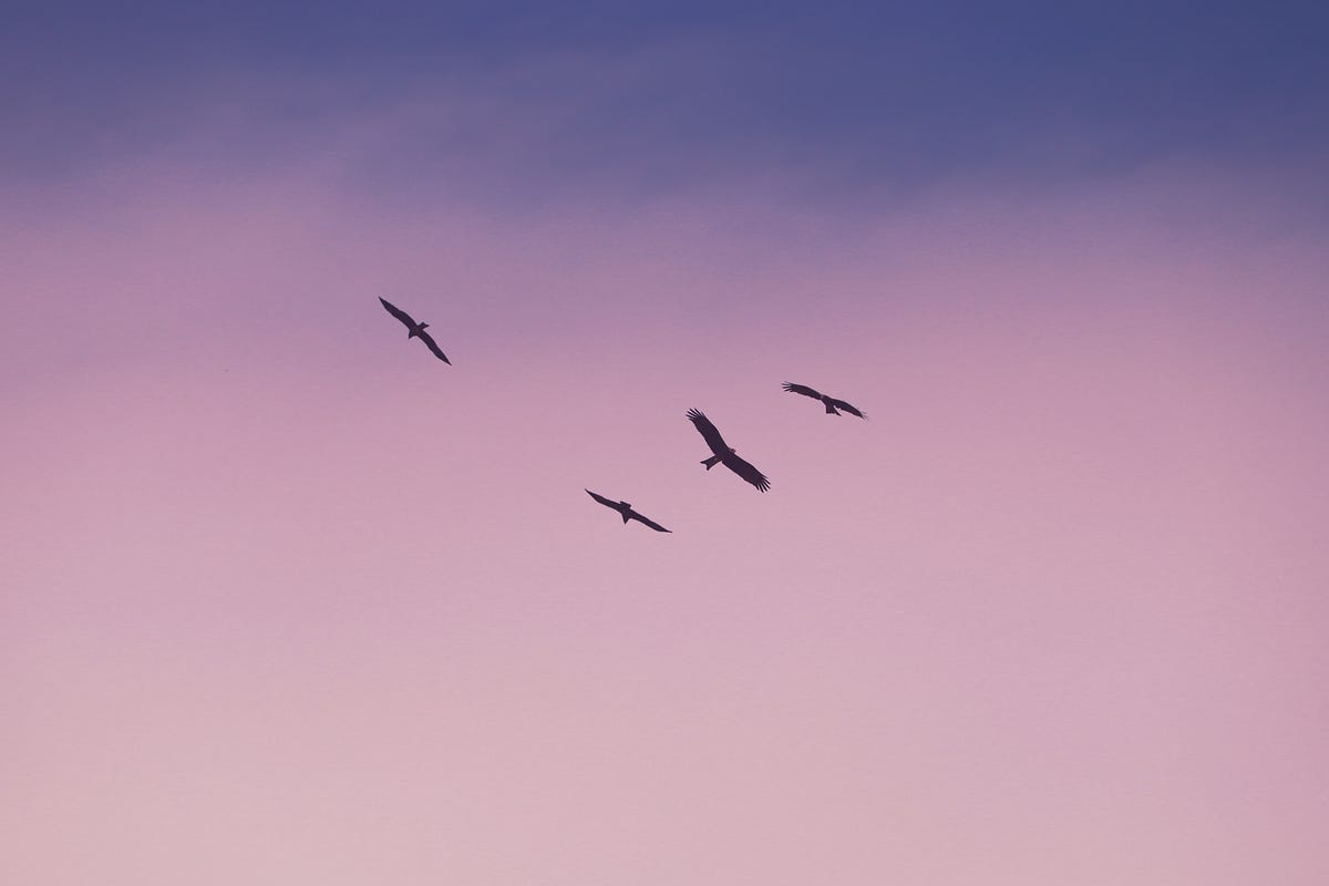 Autonomy: A Pillar of Entrepreneurship Performance | by Nikki ...