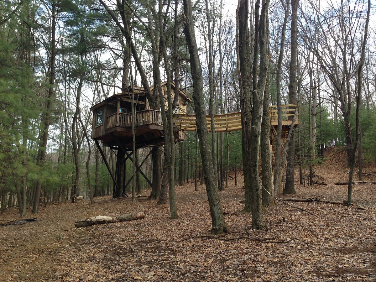 What I Learned After Two Nights in a Treehouse | by Jeff Finley | Medium