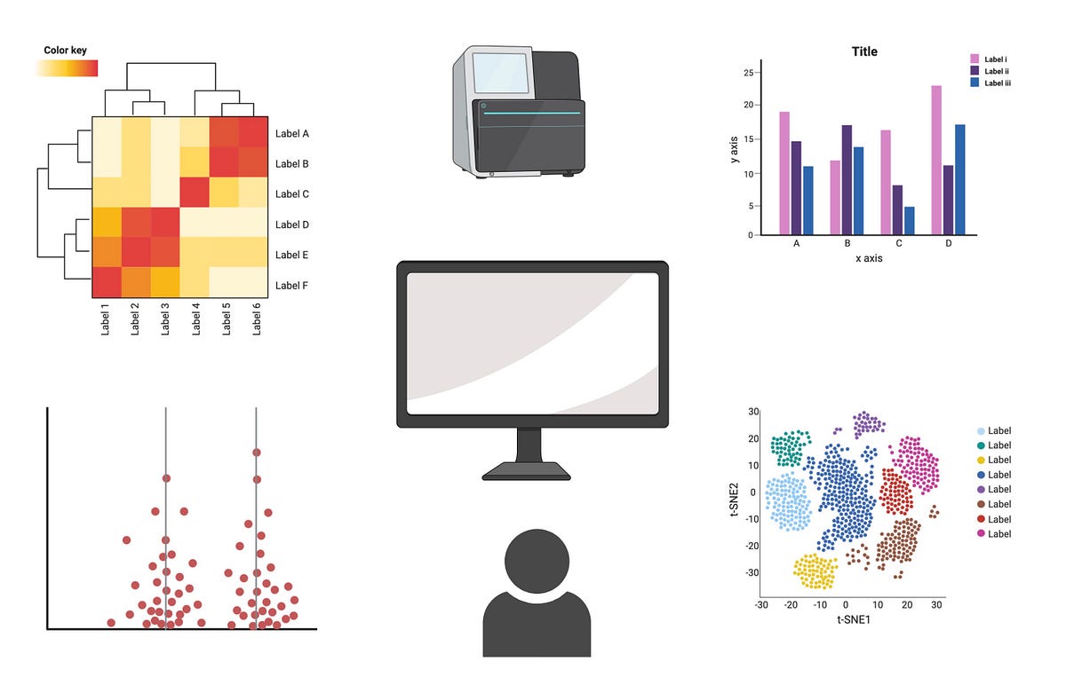 How To Learn Coding As A Biologist | by Ran M | Dev Genius