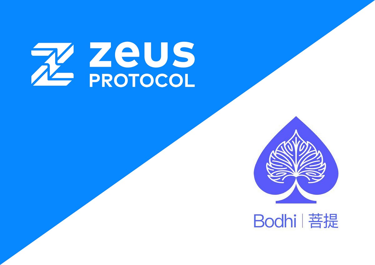 Zeus Protocol Partners with Bodhi | by Paul Almasi | Zeus Protocol | Medium