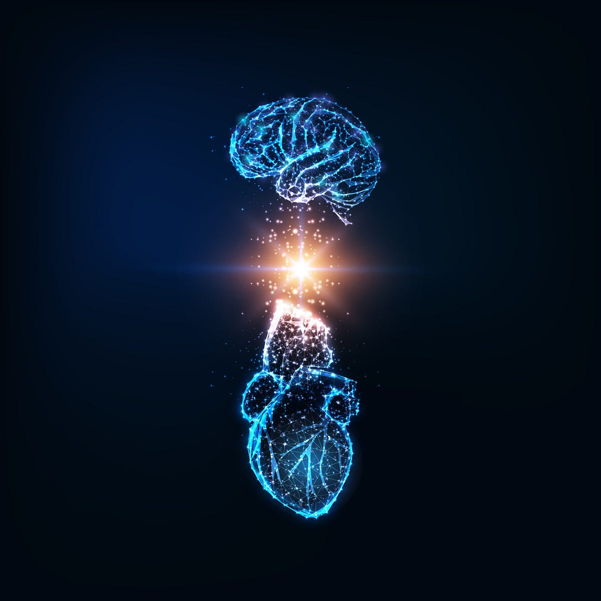 The Heart’s in Charge. Since ancient times humans have had the… | by ...