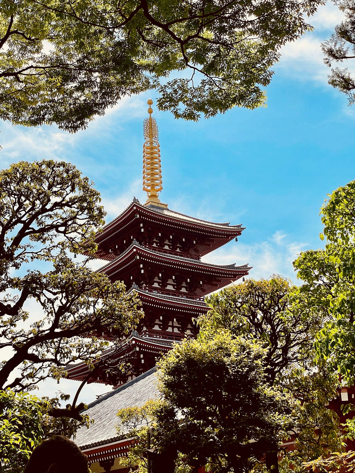 Invisible Empathy: What Japan Taught Me About Systems That Care | by Nikita Giria | Ink and ...