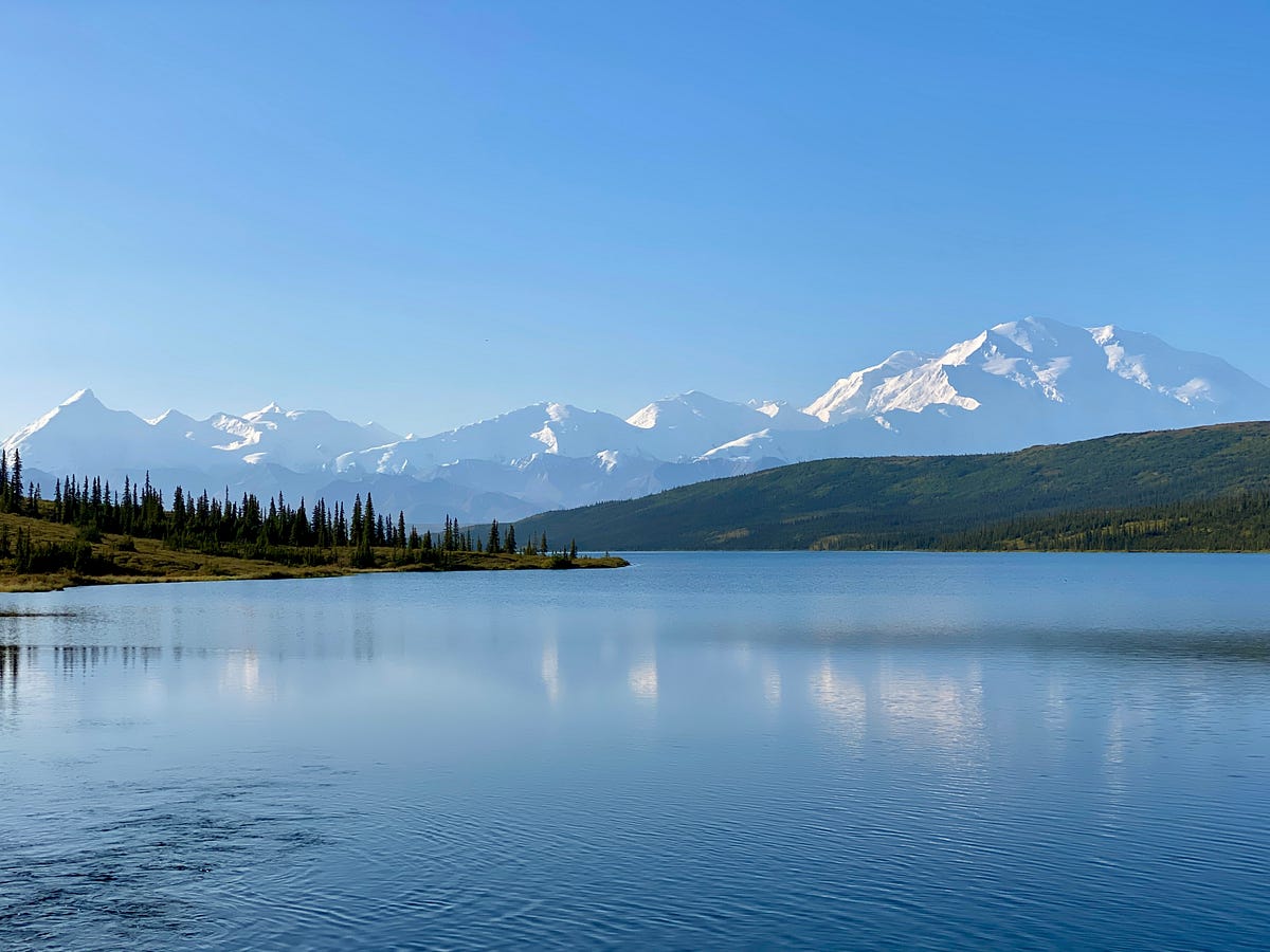 Fireside Interviews — Erika Burkhalter | by Thomas Gaudex | Scribe | Medium