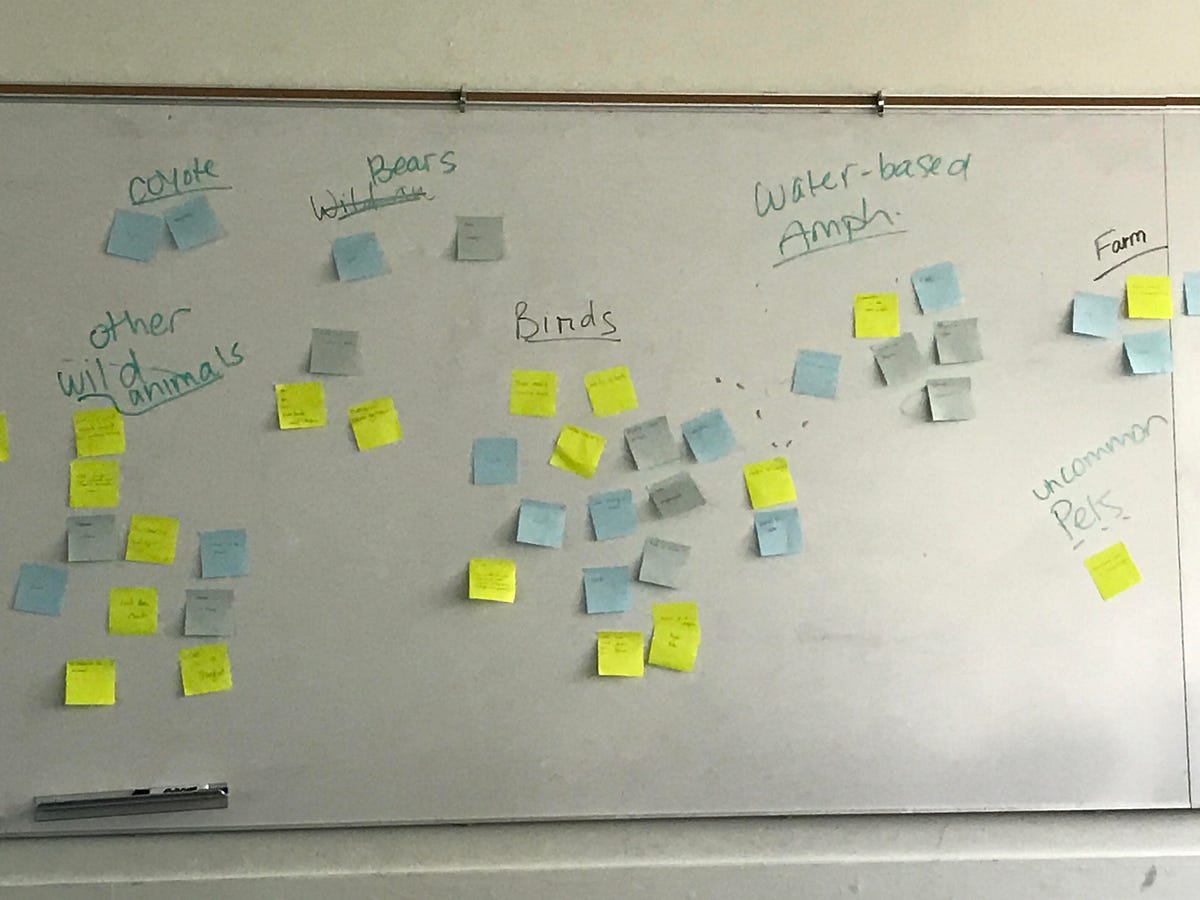 Interactive Design Process Blog. What? | by _ gatiendg@uw.edu | Medium Interactive Design Process Blog. What? | by _ gatiendg@uw.edu | Medium