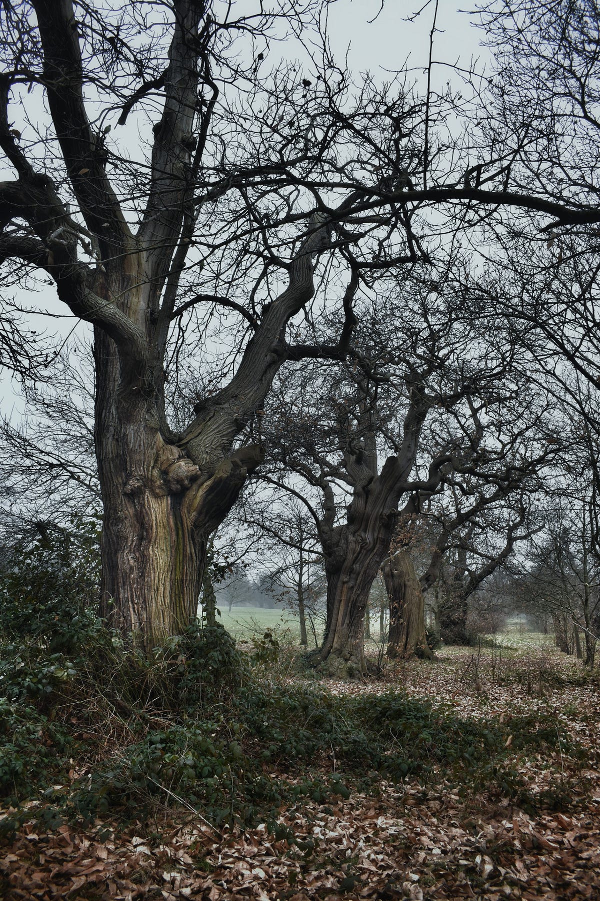 You Always Have A Choice. What shall you do when you are told… | by A.M ...