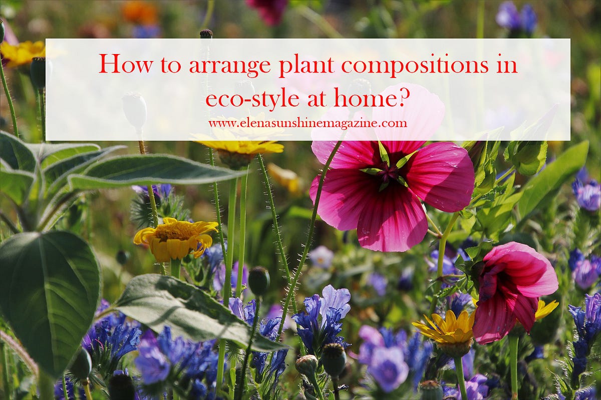 How to arrange plant compositions in eco-style at home? | by Elena ...