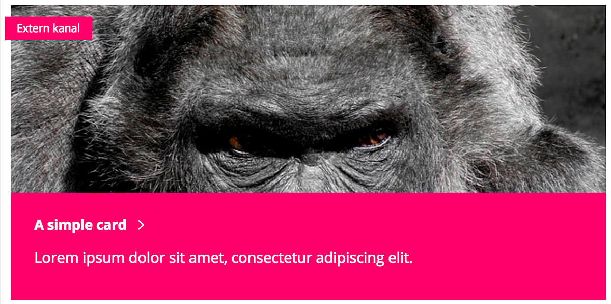 An overview of the component framework architecture | by Mikael Sandin ...
