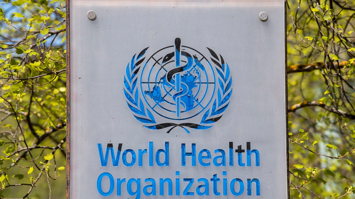 What Is the World Health Organization and What Does It Do | by My ...