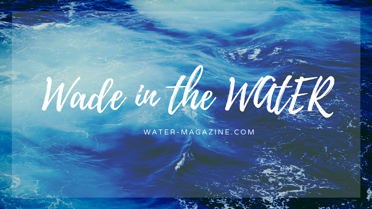 Water!! Magazine. In 1926 Langston Hughes, Zora Neale… | by Nzinga ...