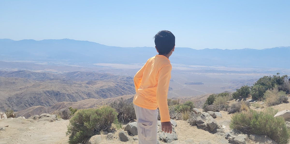 Musing 2 - Life - Medium