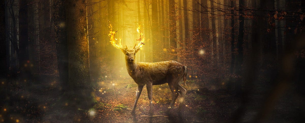 Dynamic Provisioning Of Storage On A Gcp Kubernetes Cluster Using Helm 7363