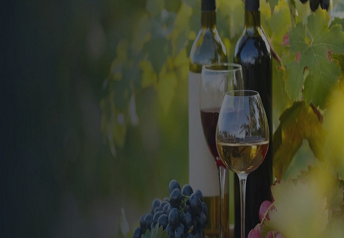 The Role of Wine Tasting Drivers in Enhancing Your Napa Valley ...