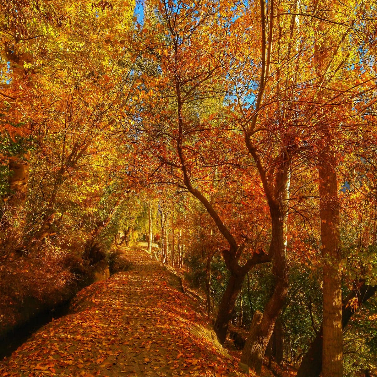 why fall is the best season. My favorite time of year is fall. Who ...