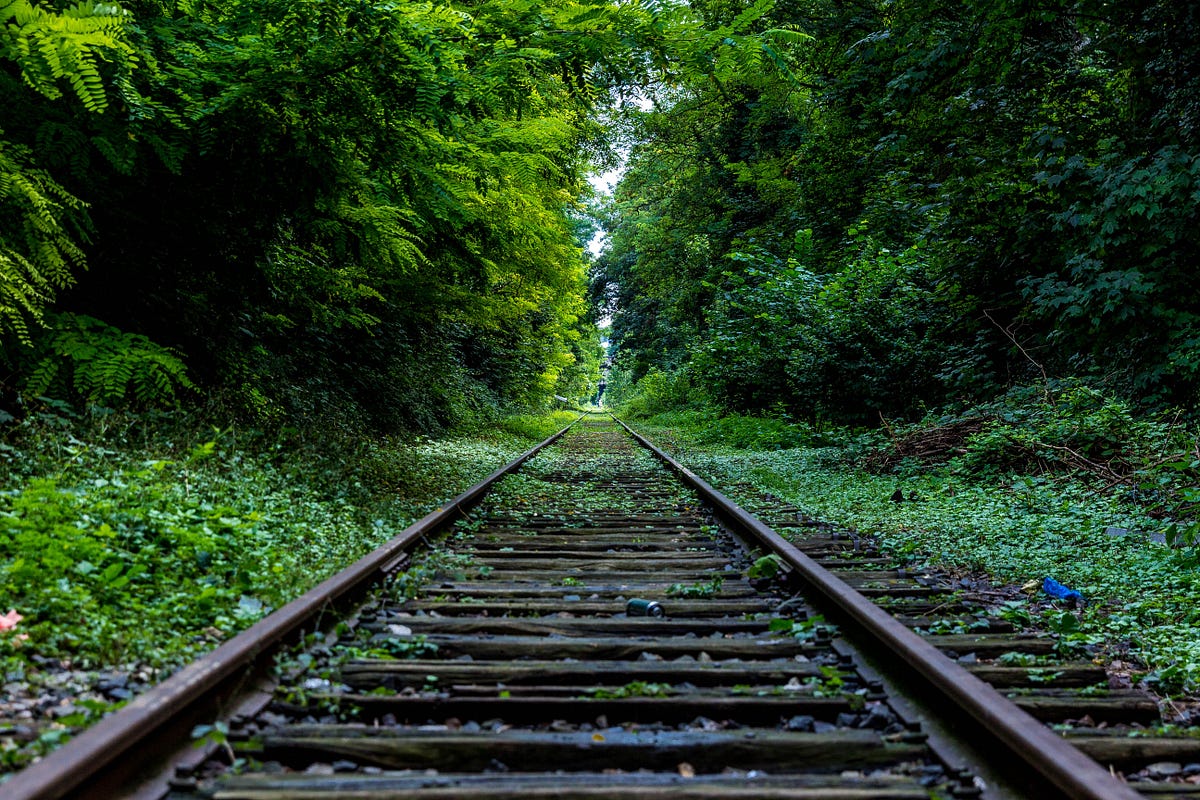 Rails Generators – Model vs. Resource vs. Scaffold | by matt readout ...