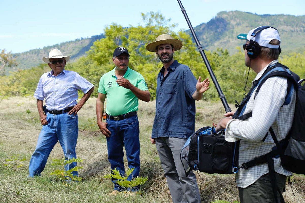 Enable Reforestation with Small Scale Farmers: How FARM-TRACE connects ...