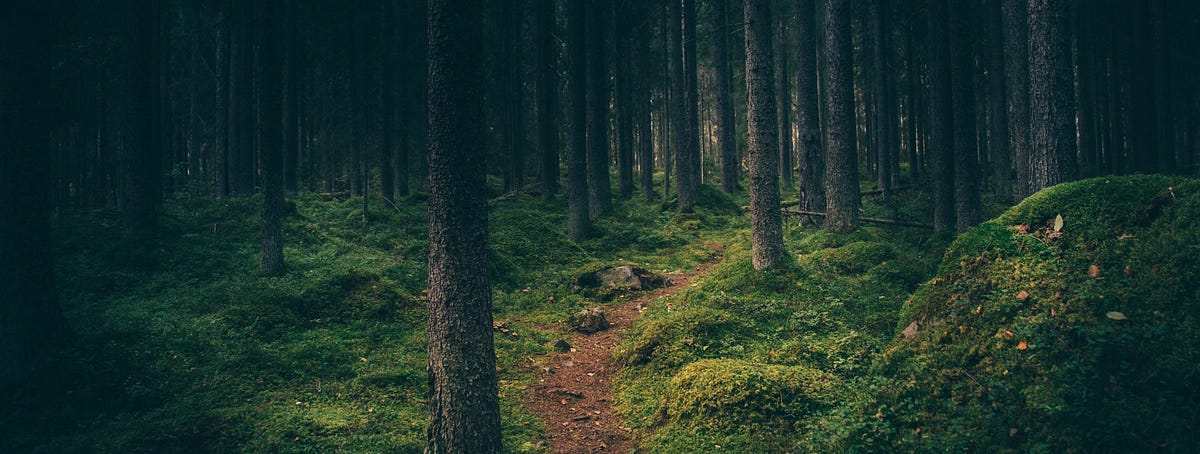 Lucene, GraphQL and Orchard Core. A brief guide on implementing Search ...