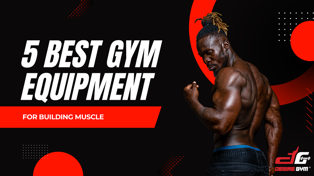 5 Best Gym Equipment for Building Muscle - DesireGYM Web - Medium
