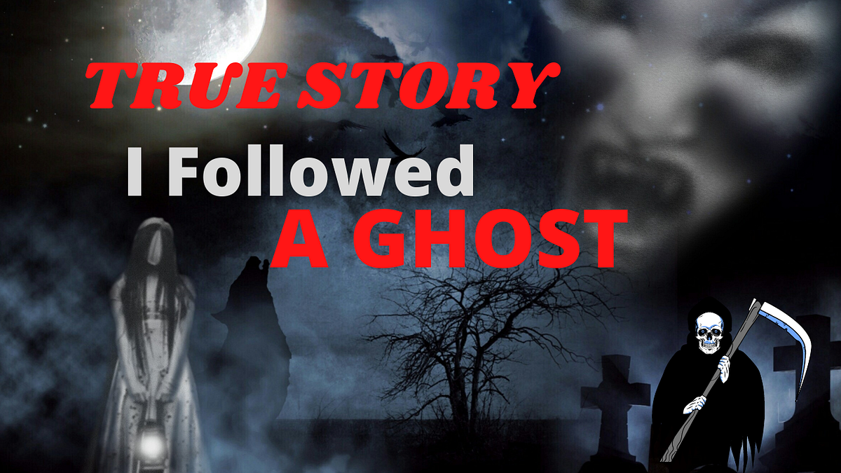 My Dog chased a scary shadow ghost. | by BATTY BAD | Medium